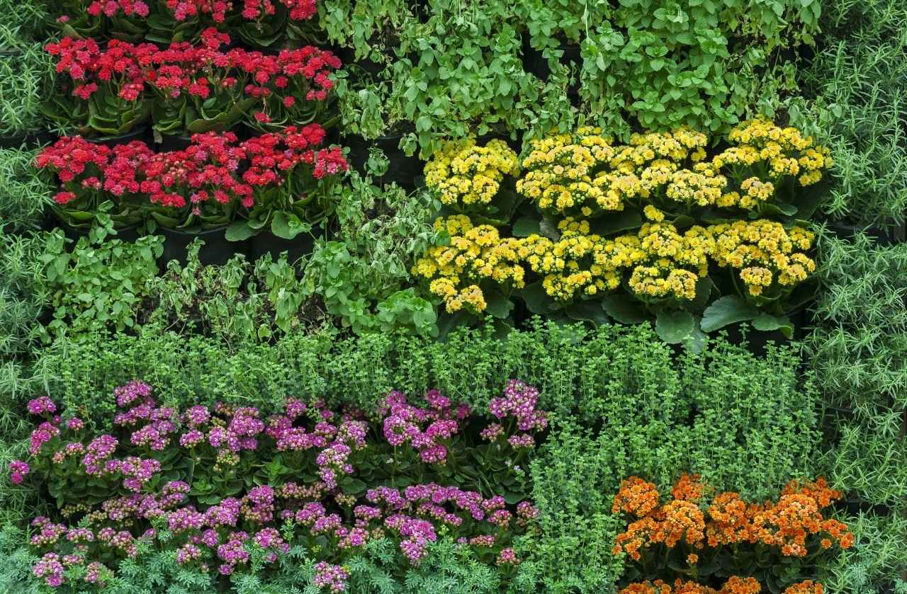 Blog EZ - Um jardim particular em casa